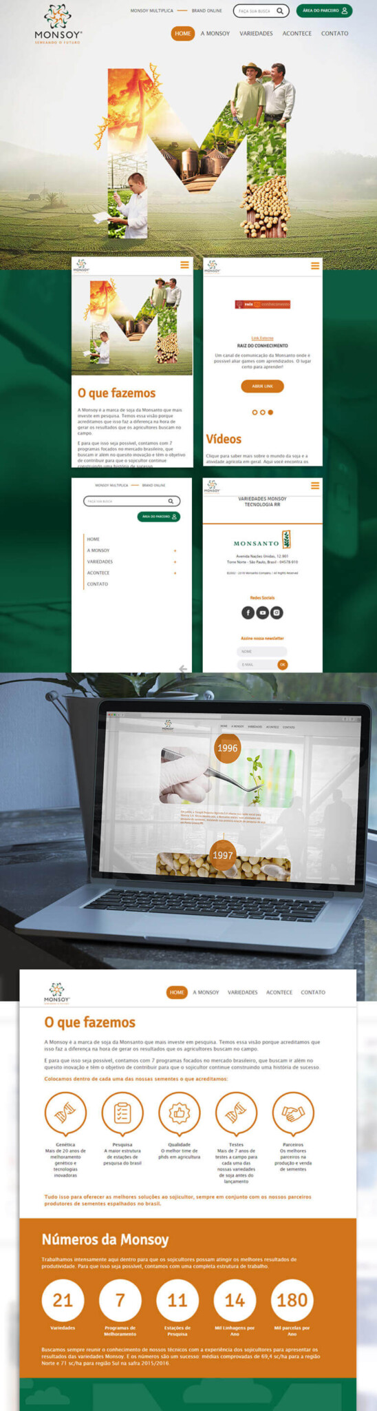 Veja como ficou o novo site institucional da Monsoy